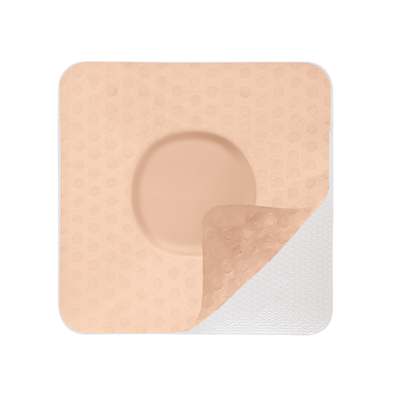 Diabetic Foot Ulcers: Prevention and Treatment - B. Braun