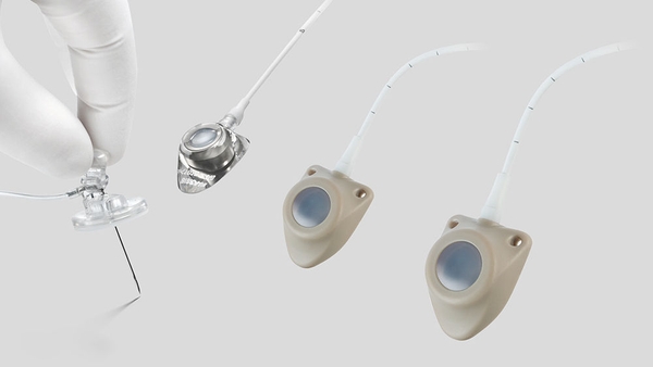 Interventional Vascular Therapy - B. Braun