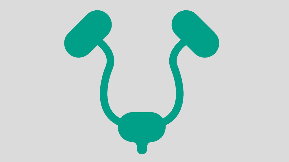 Skin Disorders: Prevention of Skin Breakdown - B. Braun