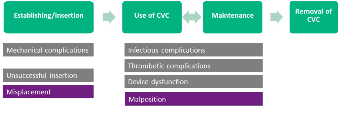 Misplacement and Malposition of Central Venous Catheters - B. Braun