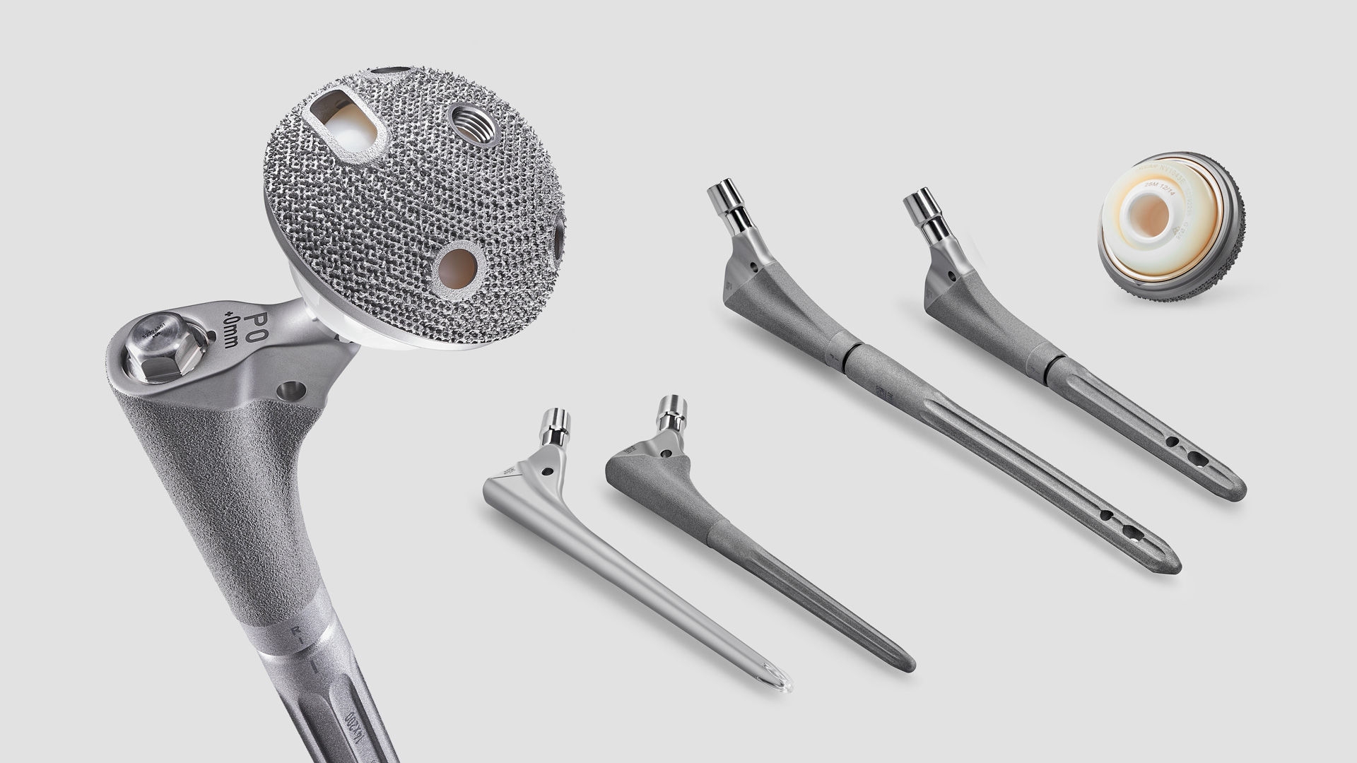 AESCULAP® Hip Revision Solutions - B. Braun