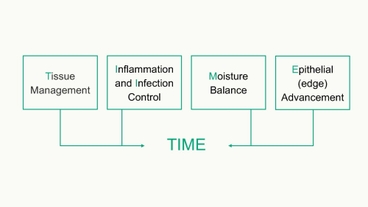 Chronic Wound Treatment with TIME concept - B. Braun