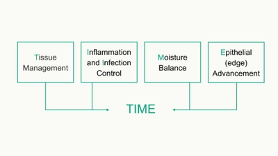 Chronic Wound Treatment with TIME concept - B. Braun