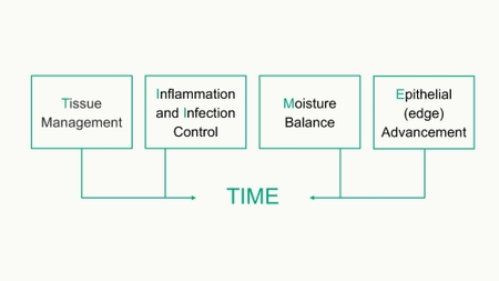 Chronic Wound Treatment with TIME concept - B. Braun